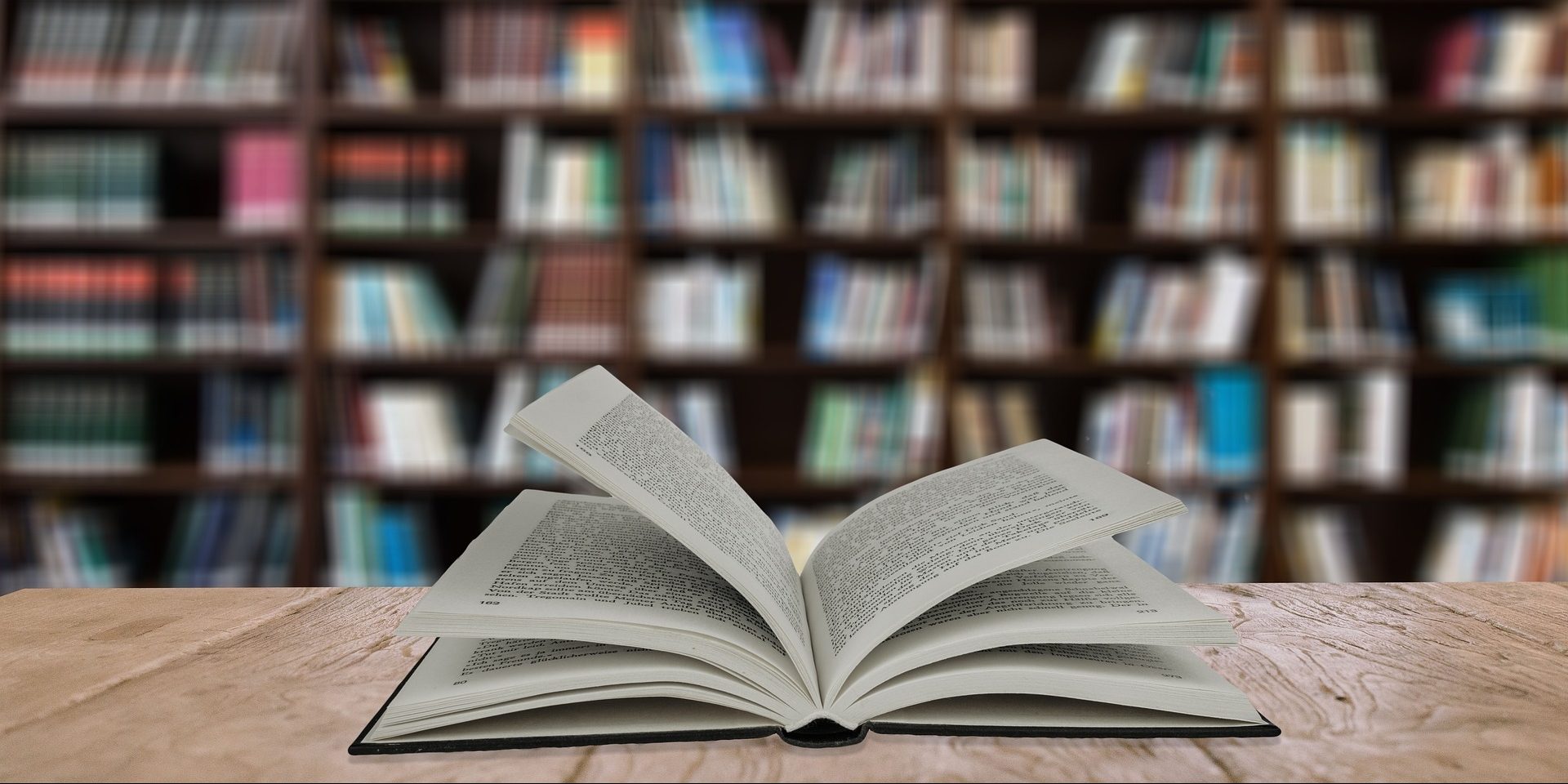 Différentes manières d’éditer un livre – Blog Projet CarTylion